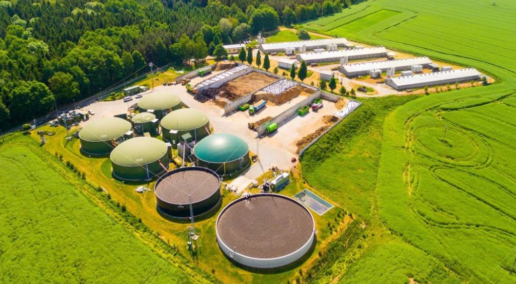 Biogas ở Việt Nam: Triển vọng trong tầm tay